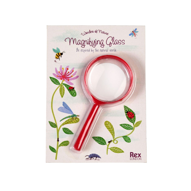 Rex London – Wonders of Nature: Magnifying Glass | Little Knick Knacks