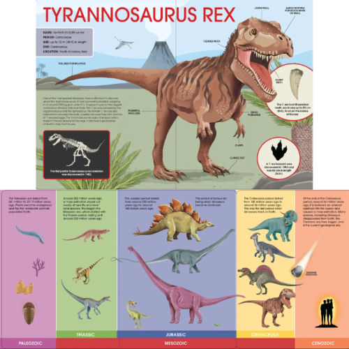 Hardcover – The Big Book of Dinosaurs | Little Knick Knacks